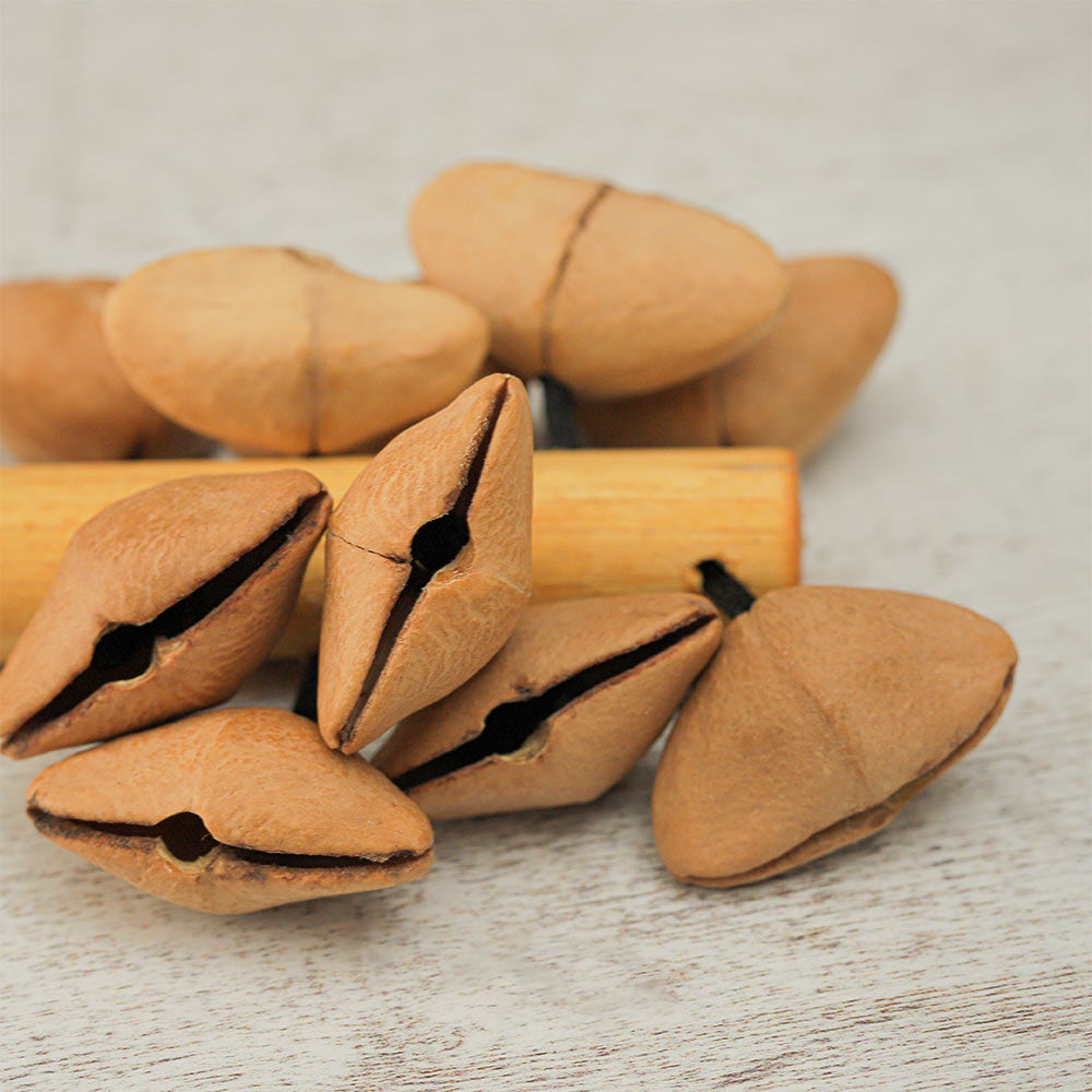 Lima Kenari Stick Shaker