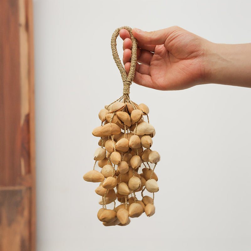 Buy The Peruvian Lima nut cluster (Large Shaker)