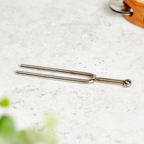 Buy The Stainless Steel Tuning Fork (440hz)