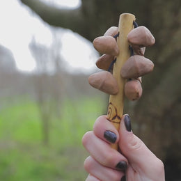 Lima Kenari Stick Shaker